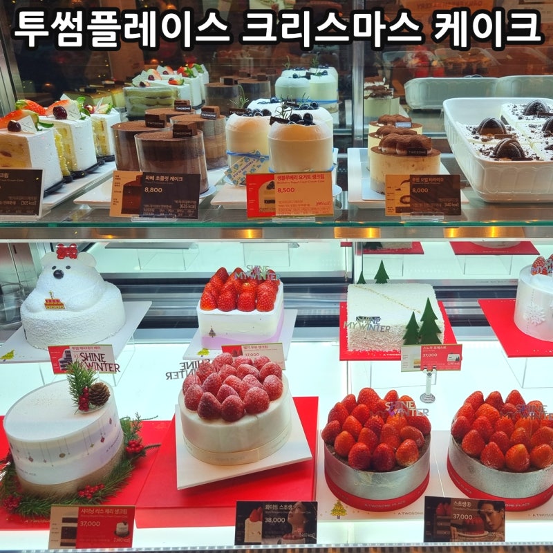 투썸플레이스 크리스마스 케이크 예약 종류 가격 할인 총정리 네이버 블로그