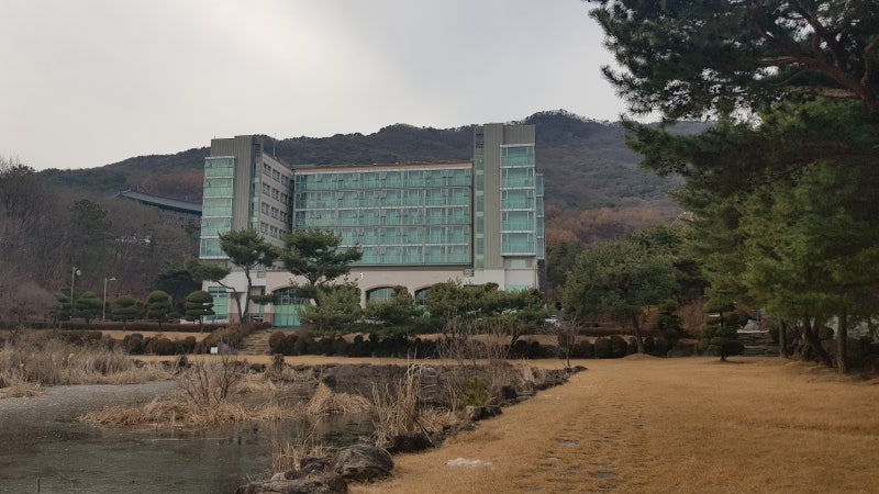 908 대진대학교 대진대 기숙사 대진교육관 생활관 기숙사비 기숙사비용 투어 탐방 가는 길 알아보기 네이버 블로그
