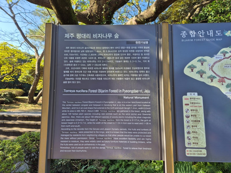 겨울 제주 비자림 숲 입장료 코스 소요시간 정리 네이버 블로그