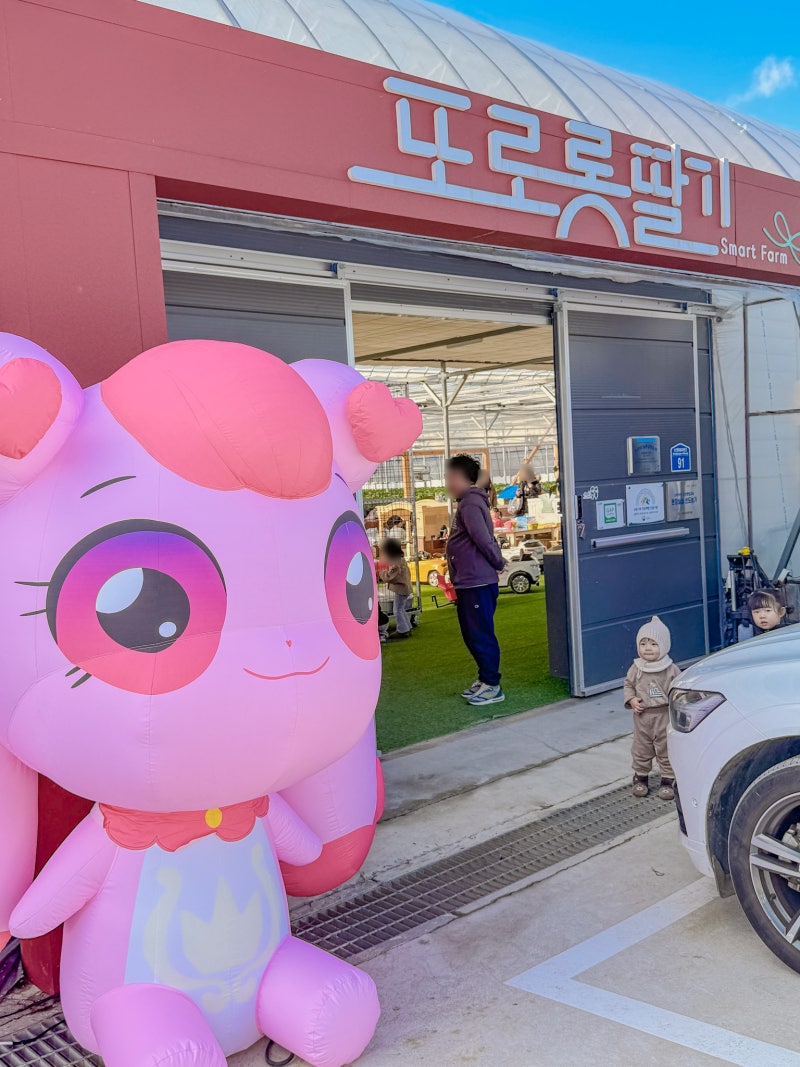 또로롱딸기 농장 논산 딸기체험 12월 수확체험후기 네이버 블로그