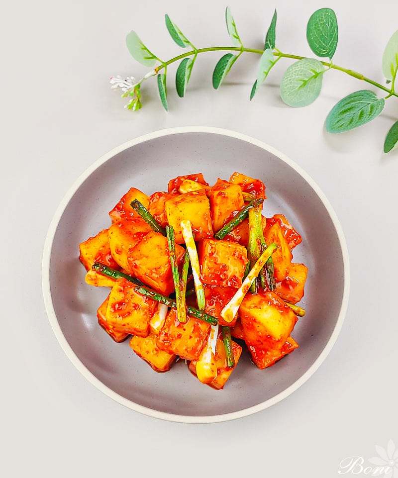 깍두기 맛있게 담그는법 깍두기 담그기 레시피 : 네이버 블로그