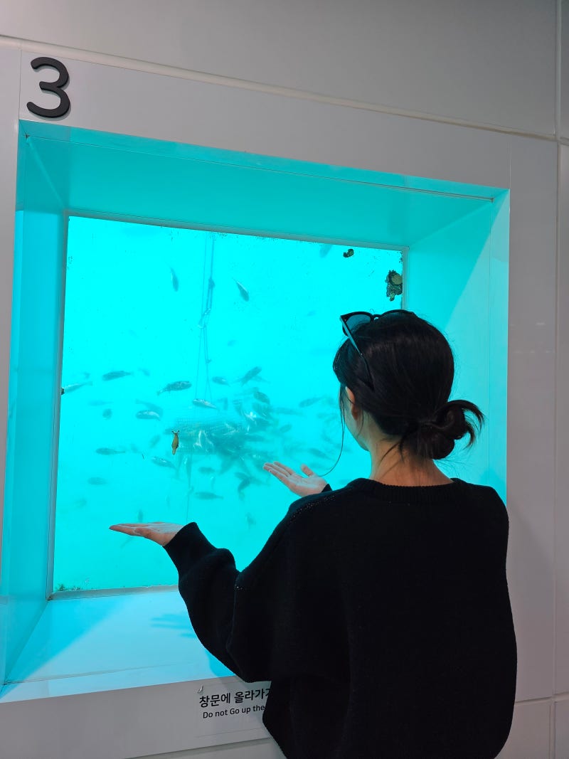 경북 울진 가볼만한곳 죽변 항 근처 바닷속전망대 등 여행 5 네이버 블로그