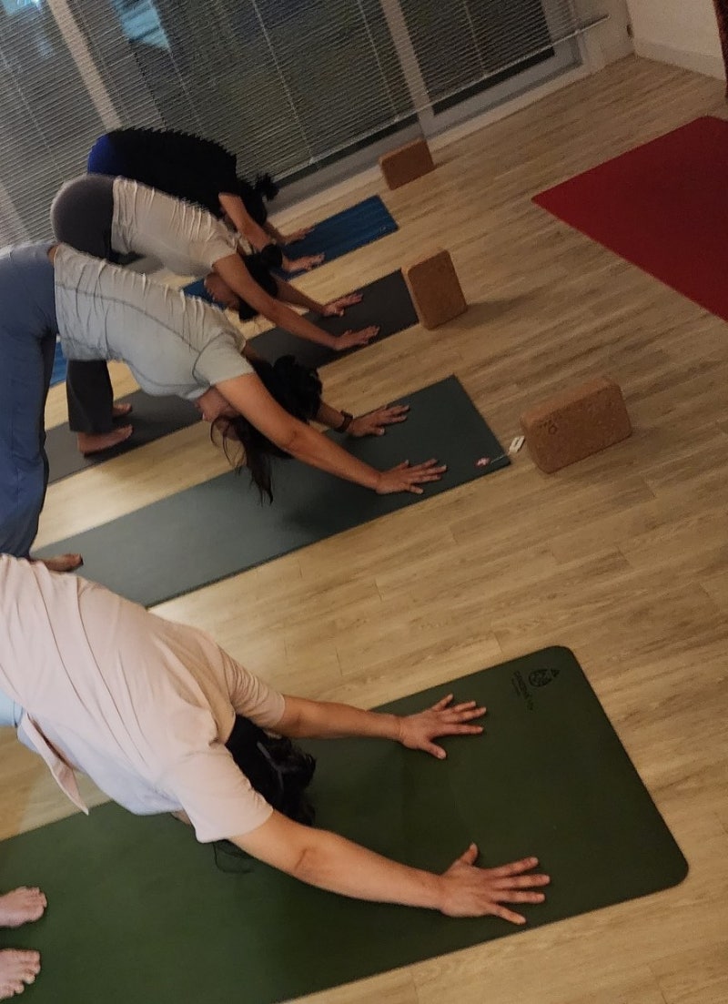 2025년 새벽요가 am 6시30분 주4회 수업진행 초보자도 함께하는 내덕동sooyoga : 네이버 블로그