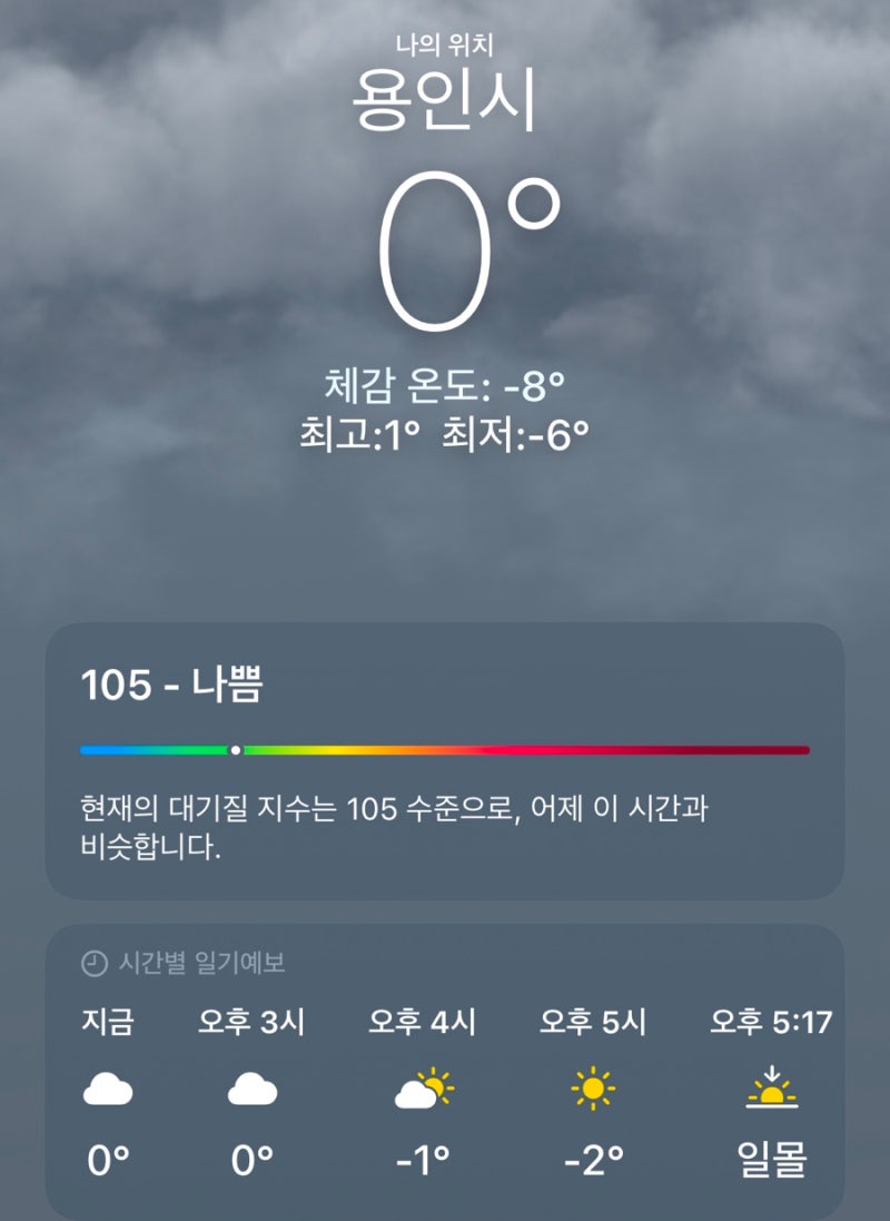 겨울 에버랜드 스노우 버스터 눈썰매장 패밀리코스 퍼레이드 매직 인 더 스카이 불꽃 네이버 블로그