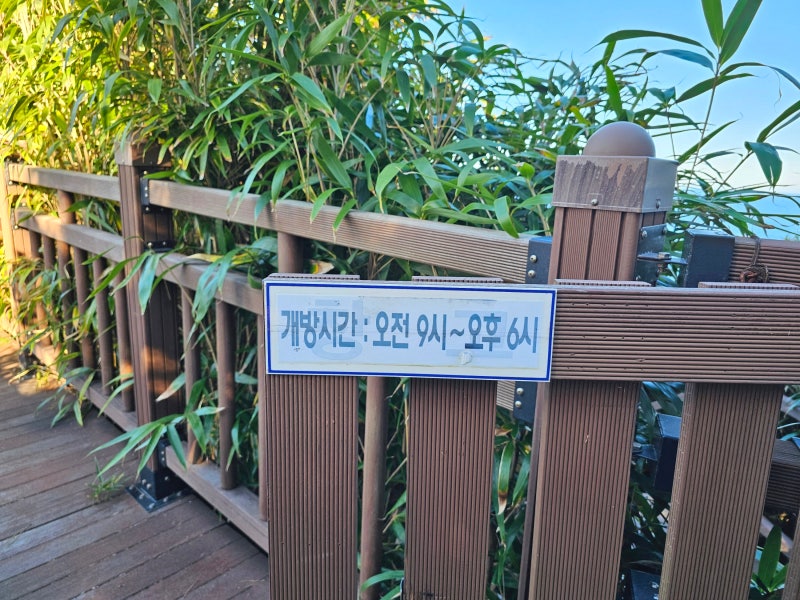 경북 울진 가볼만한곳 죽변 항 근처 바닷속전망대 등 여행 5 네이버 블로그