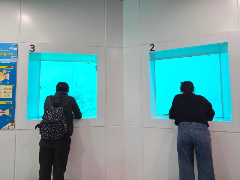경북 울진 가볼만한곳 죽변 항 근처 바닷속전망대 등 여행 5 네이버 블로그