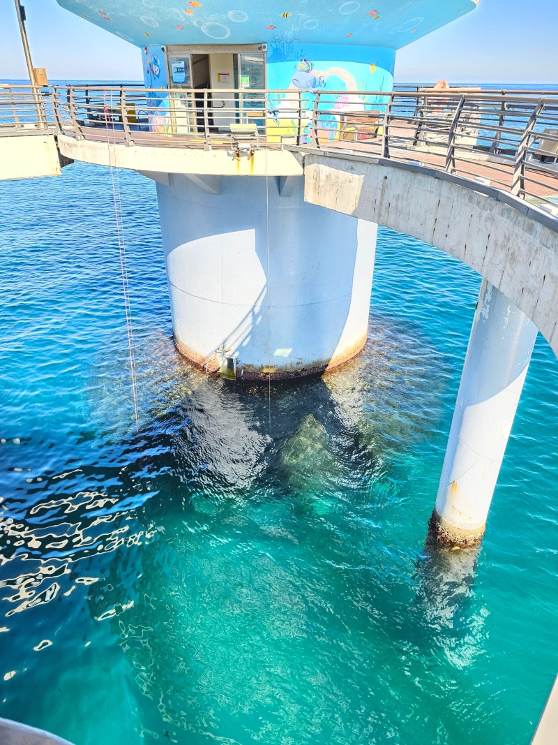 경북 울진 가볼만한곳 죽변 항 근처 바닷속전망대 등 여행 5 네이버 블로그