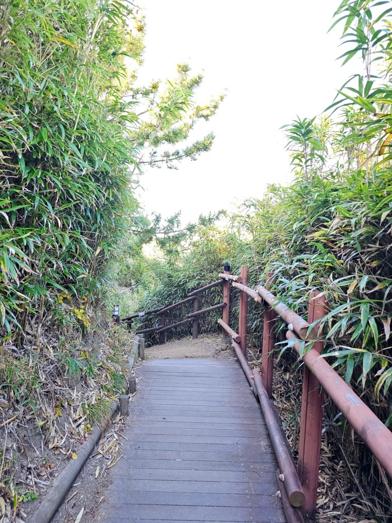 경북 울진 가볼만한곳 죽변 항 근처 바닷속전망대 등 여행 5 네이버 블로그