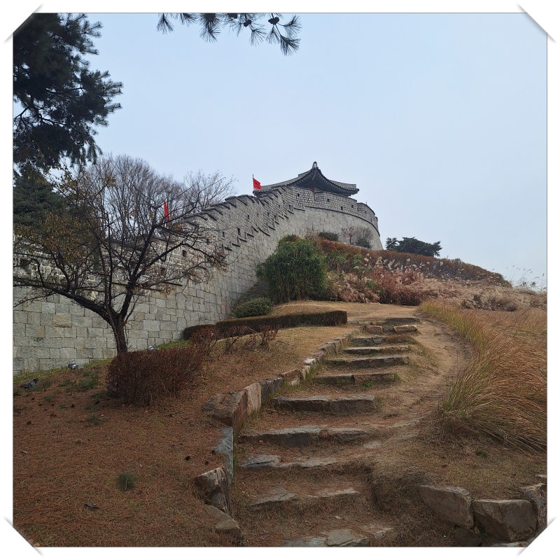 수원 재래시장 나들이 못골시장 지동시장 영동시장 볼거리 먹거리 주차정보 방문 후기 네이버 블로그