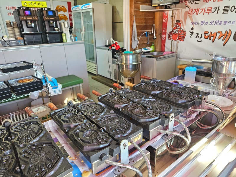 경북 울진 가볼만한곳 죽변 항 근처 바닷속전망대 등 여행 5 네이버 블로그