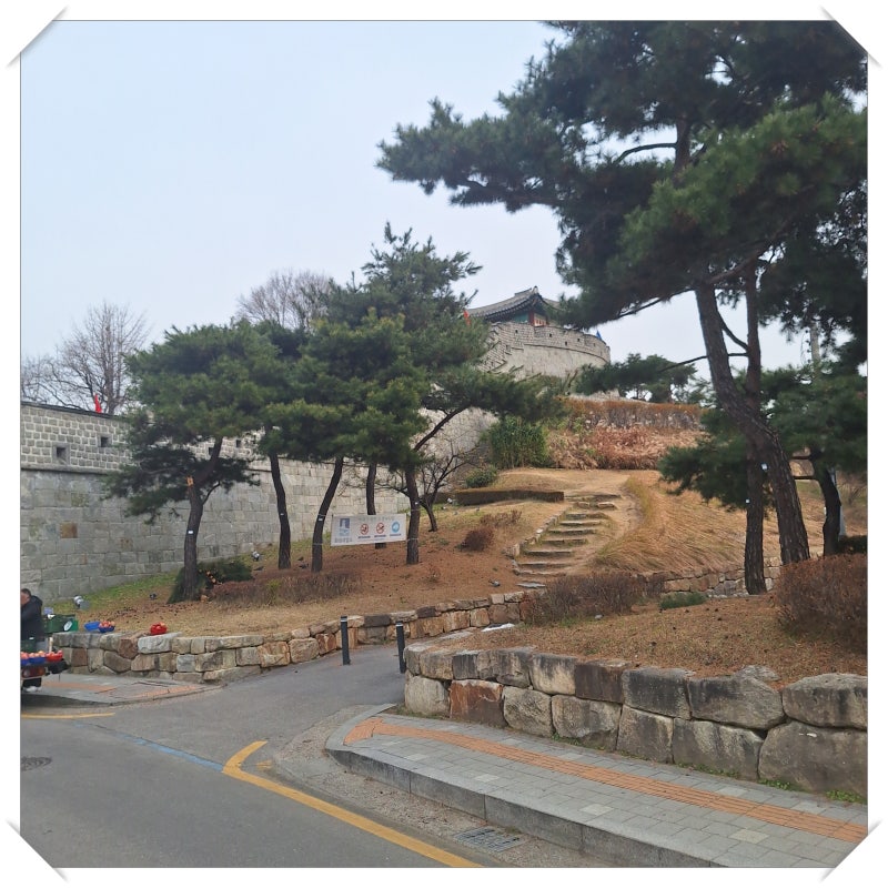 수원 재래시장 나들이 못골시장 지동시장 영동시장 볼거리 먹거리 주차정보 방문 후기 네이버 블로그