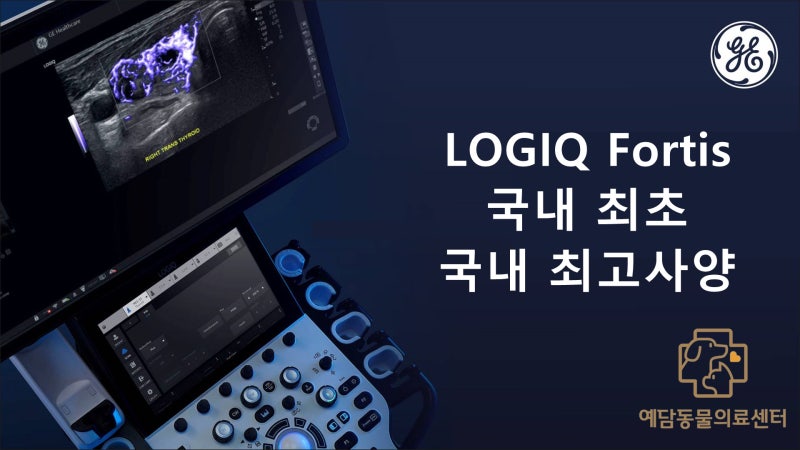 [담낭수술1위] 국내 최초, 최고의 복부초음파 LOGIQ Fortis 장비도입 : 네이버 블로그