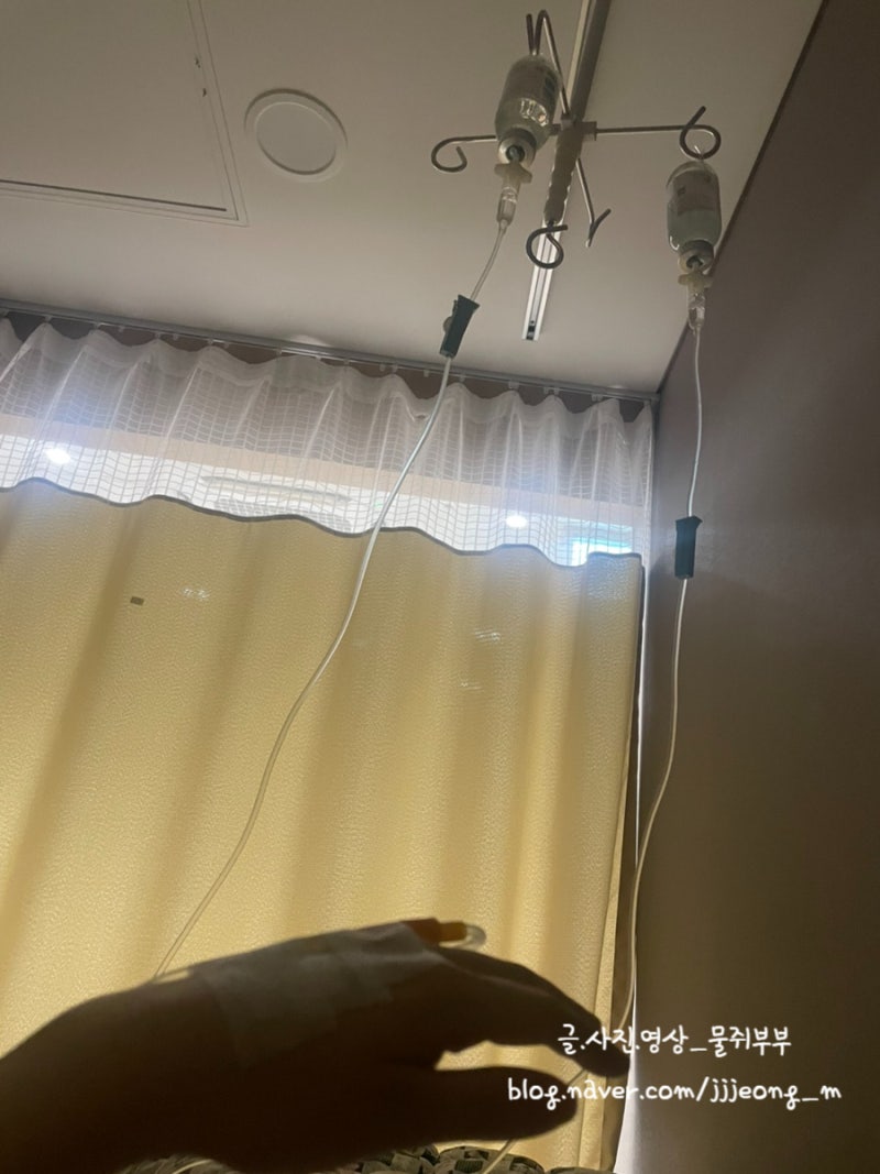 동결배아이식 5일배양 포배기 감자배아 이식당일 ~ 4일차 5일차임테기 두줄 및 증상 네이버 블로그