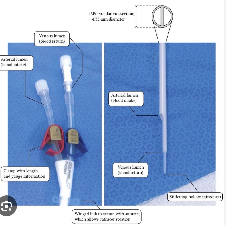 의학용어 PICC, 케모포트(Chemoport), 히크만 카테터, Vascath, Permcath 비교 공부하기 : 네이버 블로그