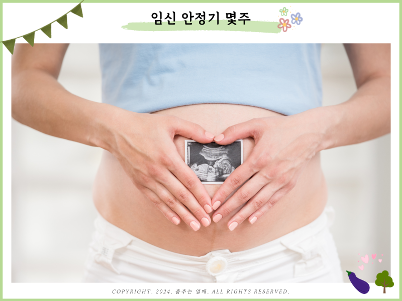 임신 12주 안정기 몇주 16주 20주 임산부 태교여행 시기 임밍아웃 네이버 블로그