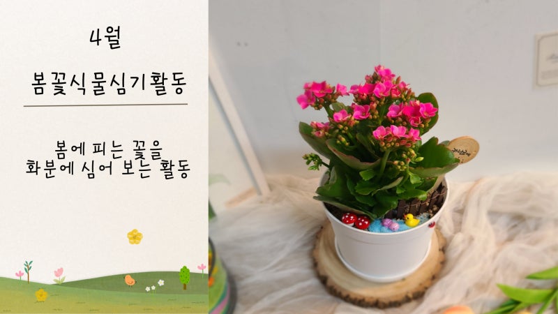 2025년 연간원예프로그램을 소개합니다 유치원원예체험활동 원예수업 원예키트 어린이집 유아 어린이 식물수업 꽃꽂이수업경기도
