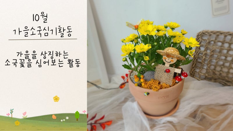 2025년 연간원예프로그램을 소개합니다 유치원원예체험활동 원예수업 원예키트 어린이집 유아 어린이 식물수업 꽃꽂이수업경기도