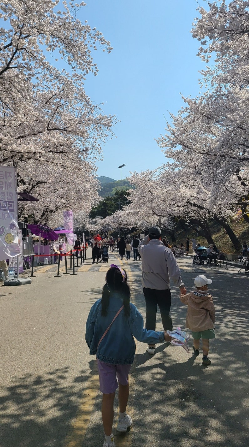 과천 경마장 시간 렛츠런파크 서울 벚꽃 축제 명소 경마공원 아이랑 네이버 블로그