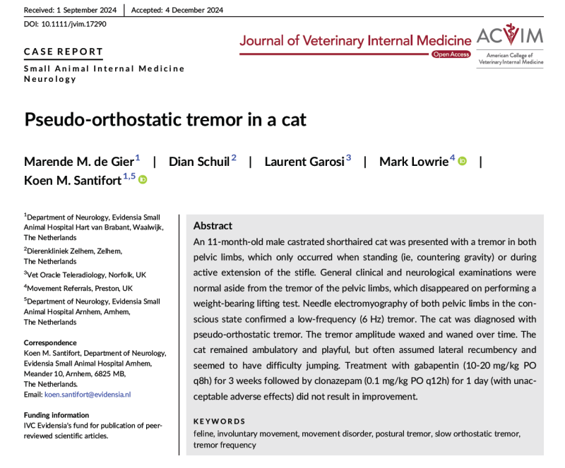 Pseudo-orthostatic tremor in a cat : 네이버 블로그