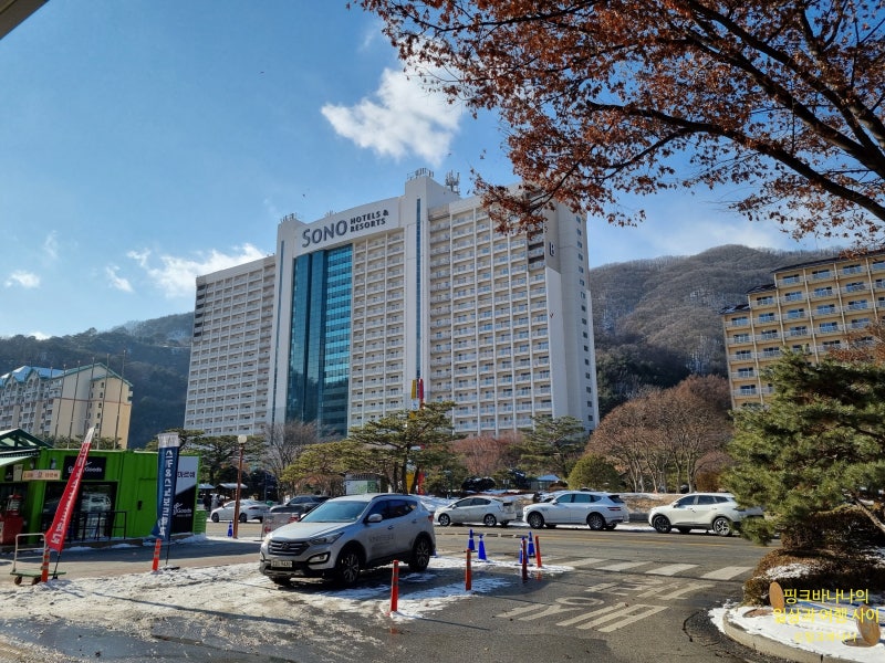 홍천 소노벨 비발디파크 C 타입 객실 이용 후기 소노캄 차이 할인받고 예약하기 네이버 블로그