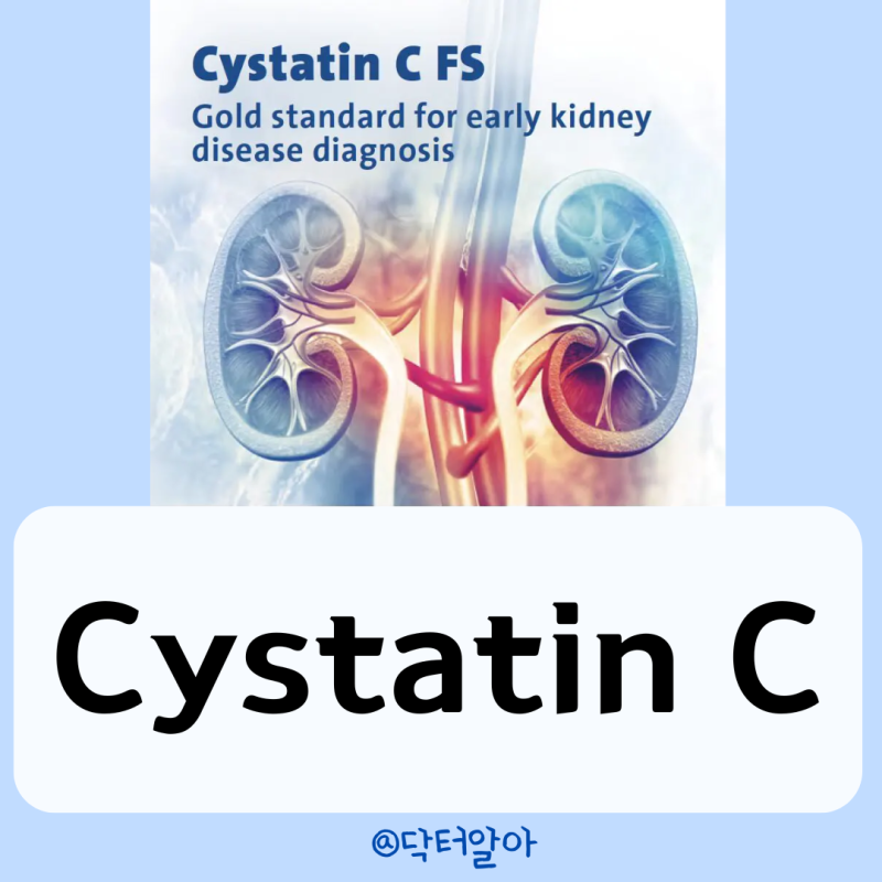 Cystatin C 시스타틴 의미 정상수치 높으면 낮으면 증가 감소 증상 관리 : 네이버 블로그