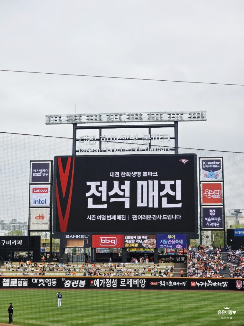 2025 한화이글스 경기 일정 예매 방법 좌석 추천 가격 총정리 네이버 블로그