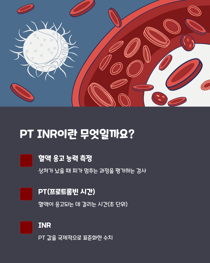 의학용어 PT INR 프로트롬빈 시간(Prothrombin Time), 정상 범위,수치, 의미 살펴보기 : 네이버 블로그