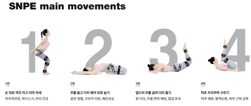 척추 바로잡는 SNPE 운동! 바른자세 효과와 이유 완벽 분석 : 네이버 블로그