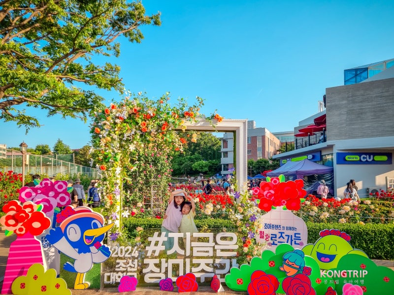 조대 장미축제 2025 기간 조선대 장미원 5월 네이버 블로그