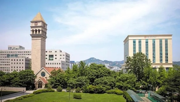 2025학년도 세종대 편입 경쟁률 분석 및 2026학년도 일반편입·학사편입 준비 전략｜전형별·계열별 지원전략 총정리 네이버 블로그