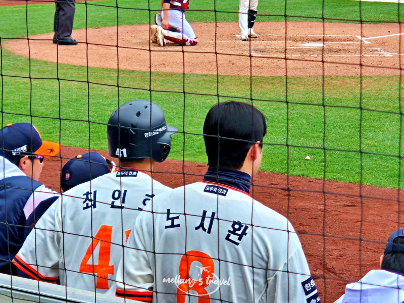 대전 한화생명볼파크 야구장 좌석 가격 한화이글스 일정 먹거리 주차장 네이버 블로그
