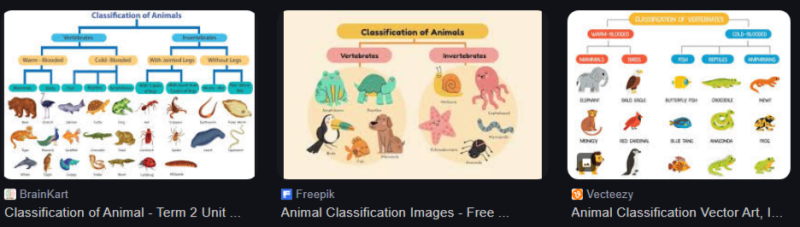 영어로 분류하다 classify, categorize 뜻, 차이 : 네이버 블로그