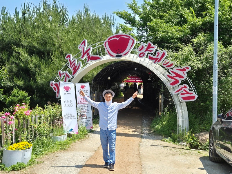 2025 원주 용수골 꽃양귀비 축제 기본정보 주차장 입장료 가수 강원도 원주 가볼만한곳 네이버 블로그