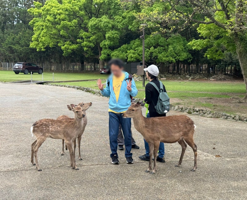 일본 오사카 교토 6월 7월 8월 여름 여행 날씨 예보 장마 기간 And 옷차림 추천 네이버 블로그