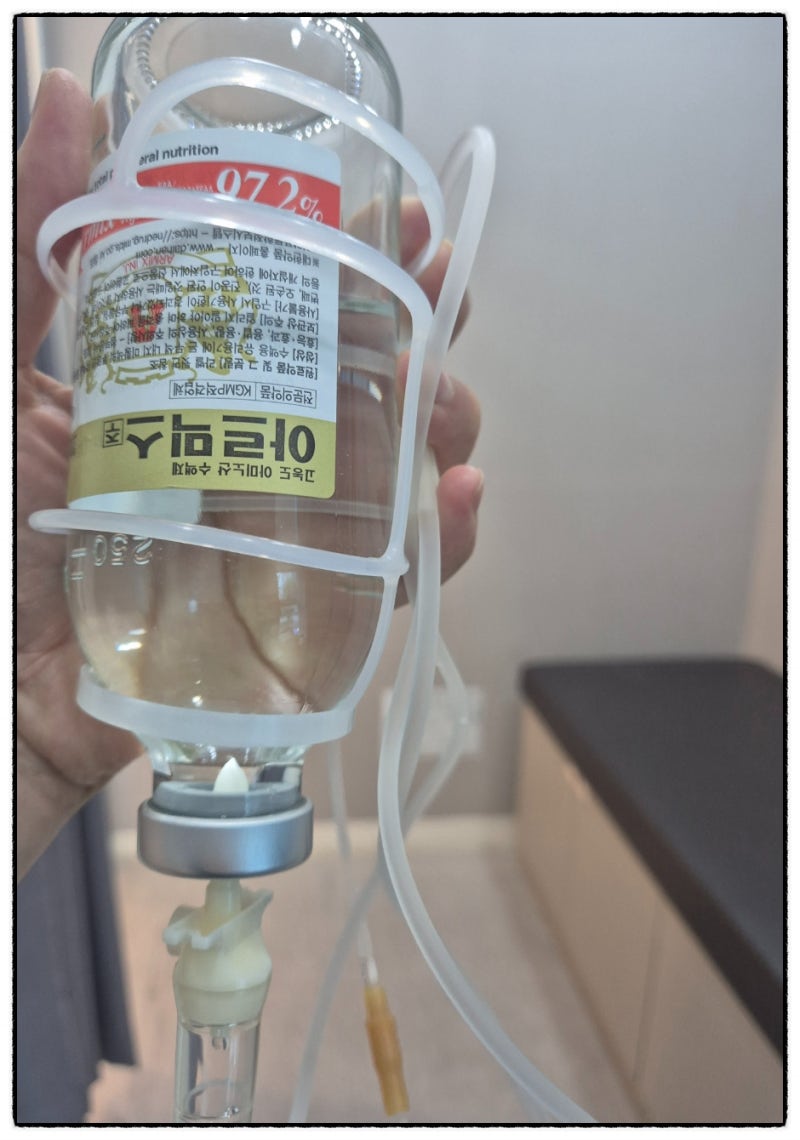 아르믹스주 아미노산 영양제 수액 가격 효과 성분 실비 청구 서류 네이버 블로그