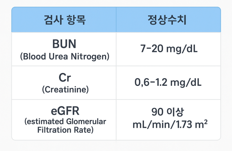 AKI란? 의학용어, BUN, Cr, eGFR 정상수치, FeNa, 원인, 증상, 치료, CKD와의 차이 : 네이버 블로그