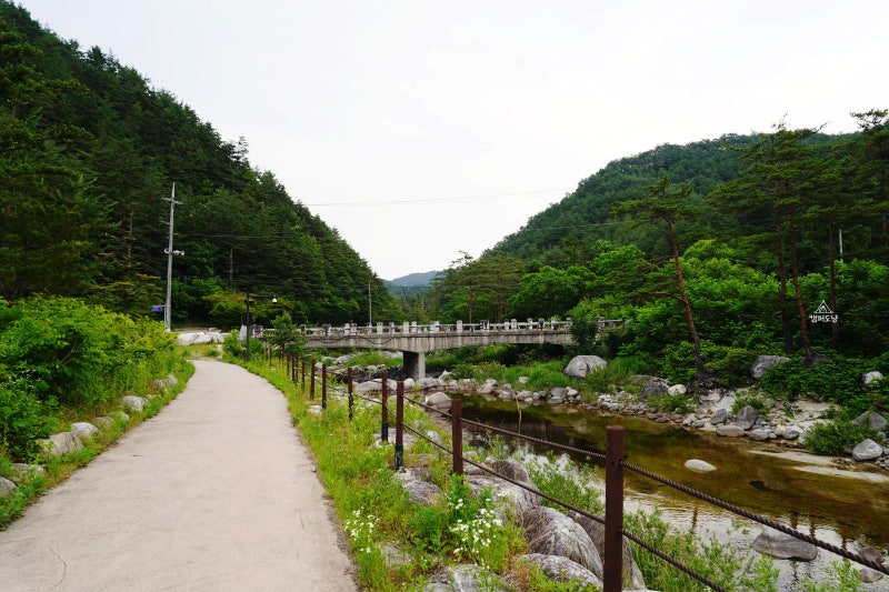 오대산 국립공원 소금강산 자동차 야영장 사이트 명당 추천 이용 예약 방법 네이버 블로그