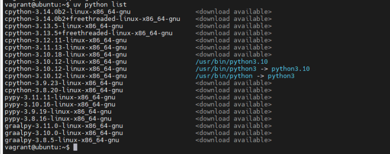 [Python] uv를 사용한 파이썬 환경 관리, uv 사용 방법 : 네이버 블로그