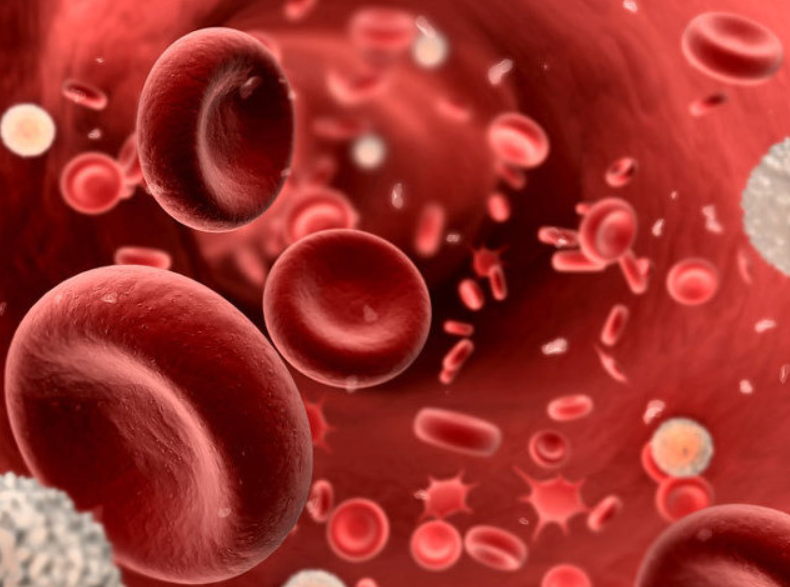 Alphafold 3 사용법 (알파폴드 3) - 업데이트 : 네이버 블로그