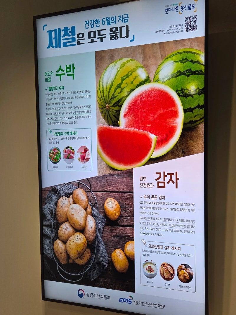 광화문 가성비 맛집 롯데카드 구내식당~가격, 가는법,식단표 : 네이버 블로그