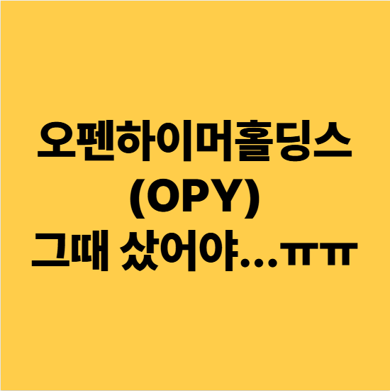 오펜하이머홀딩스(OPY) 투자할까 말까 : 네이버 블로그