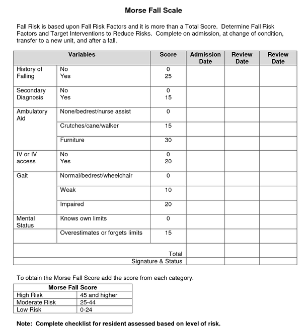 낙상 위험 사정 도구, Morse Fall Scale, morse fall : 네이버 블로그