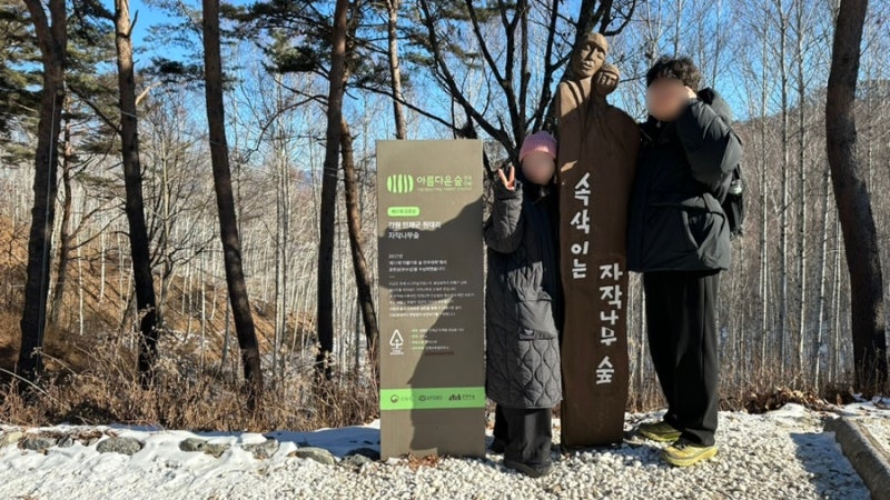 동백여행사 국내투어 추천 강원도 인제 자작나무숲 홍천 수타사 당일치기 버스 투어 후기 네이버 블로그