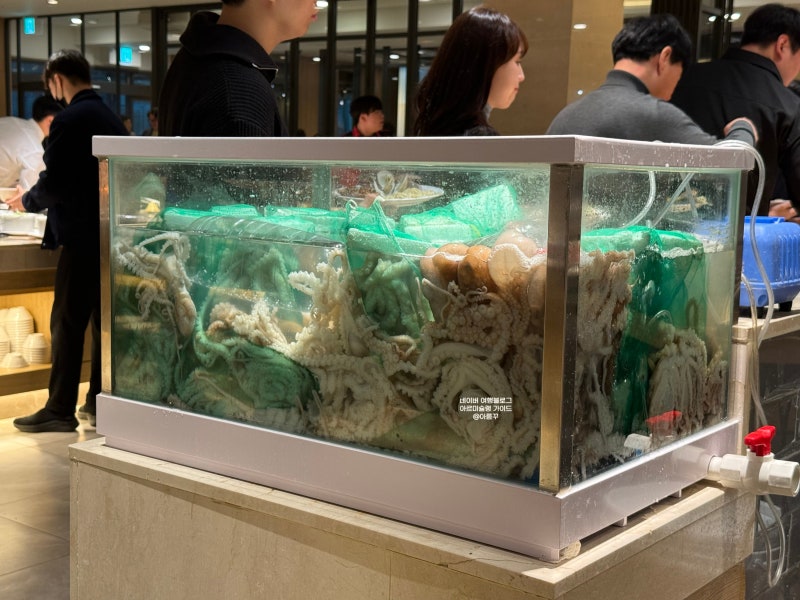 광명무역센터컨벤션 웨딩홀 홀투어 뷔페 후기 2025년 하반기 견적 공유 네이버 블로그