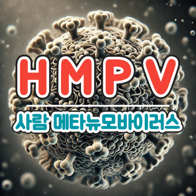 사람 메타뉴모 바이러스hmpv 중국 우한 증상 전파 경로 진단 예방 수칙 관련주 총정리 네이버 블로그