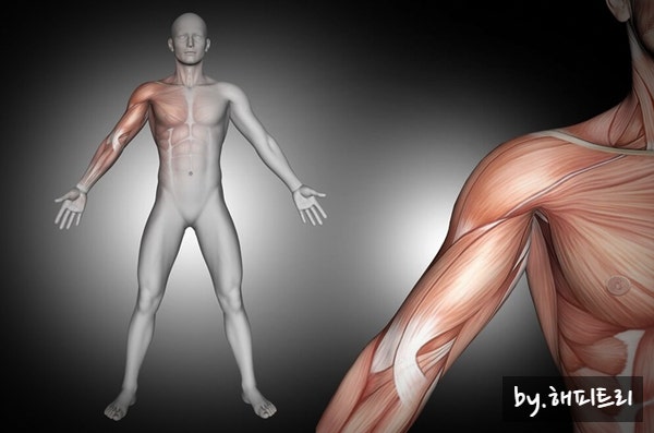 루게릭병 초기 증상 원인 유전 치료 네이버 블로그