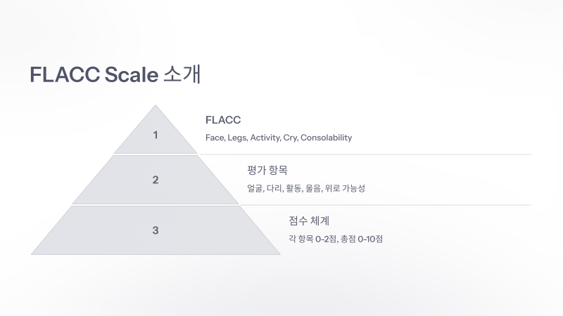 통증 사정 도구nrs Fprs Flacc 환자 통증 평가 살펴보기 네이버 블로그