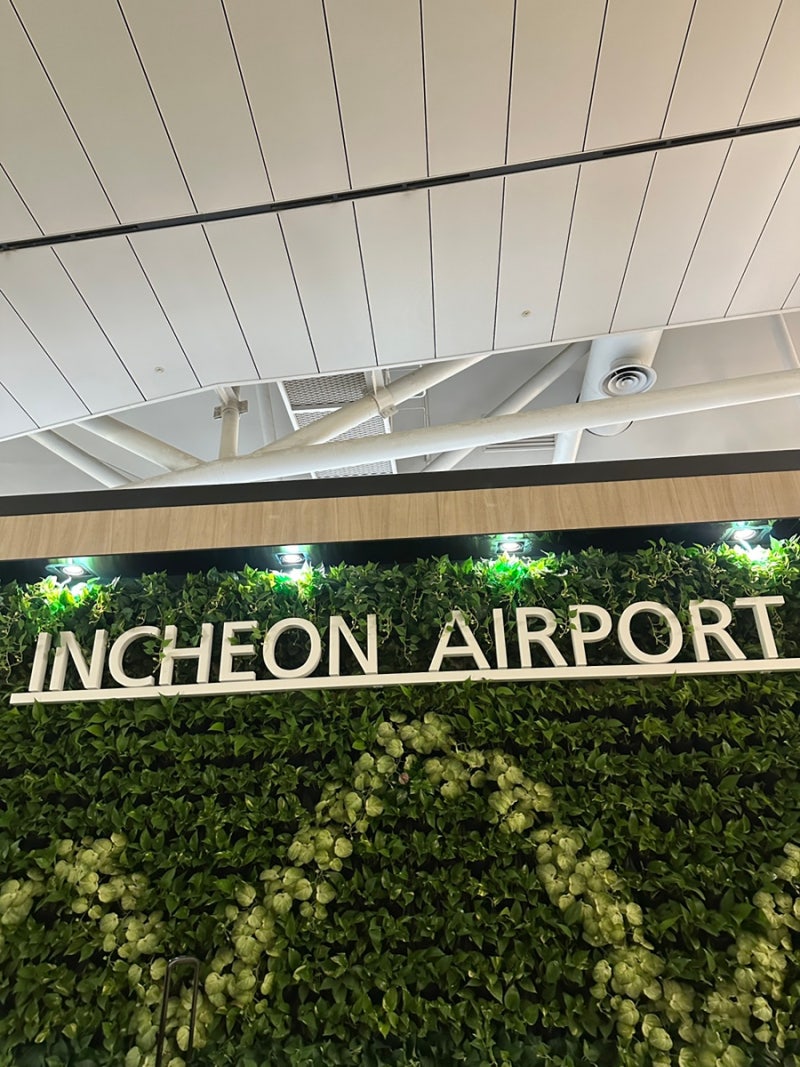 아시아나 OZ511 바르셀로나 직항 후기(쌈밥 기내식, 자리 간격, 와이파이) : 네이버 블로그