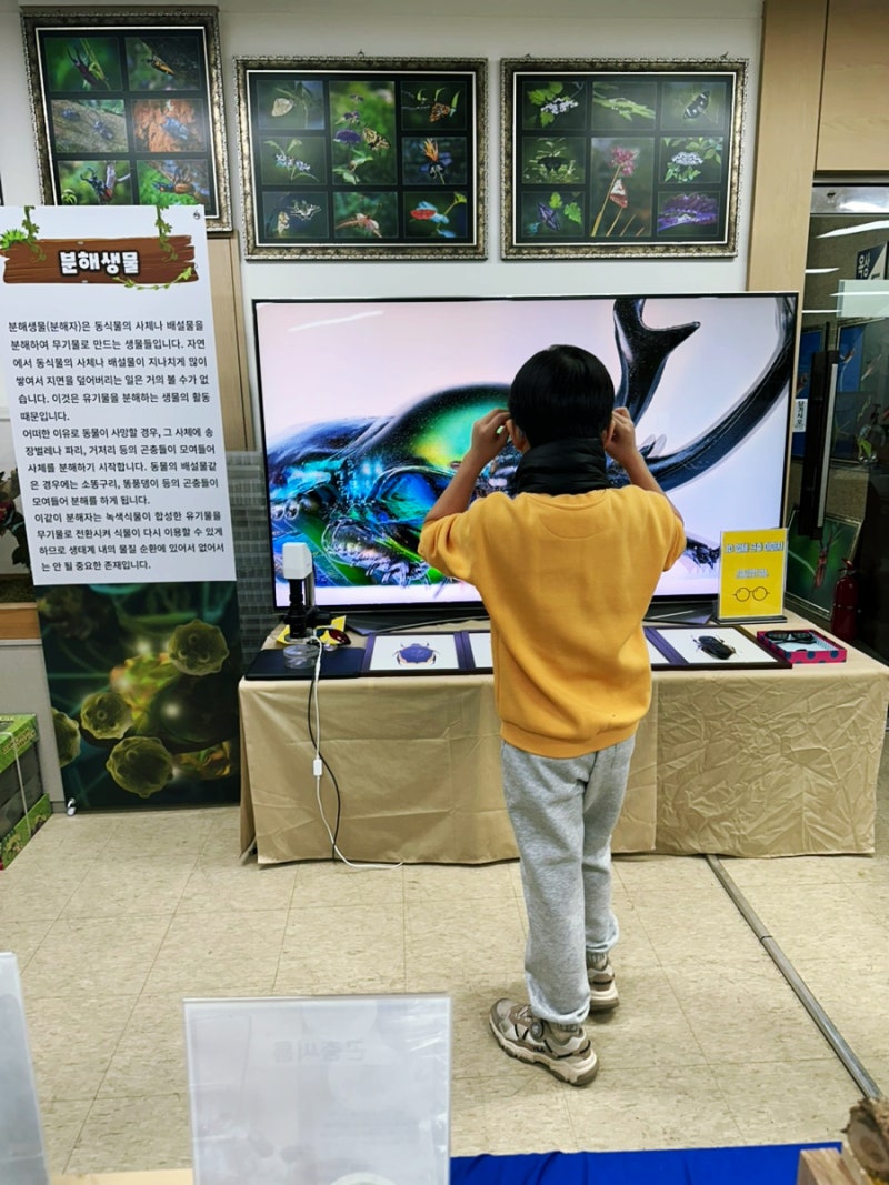 서울 아이와가볼만한곳 만천곤충박물관 곤충표본만들기 곤충체험 희귀표본까지 네이버 블로그