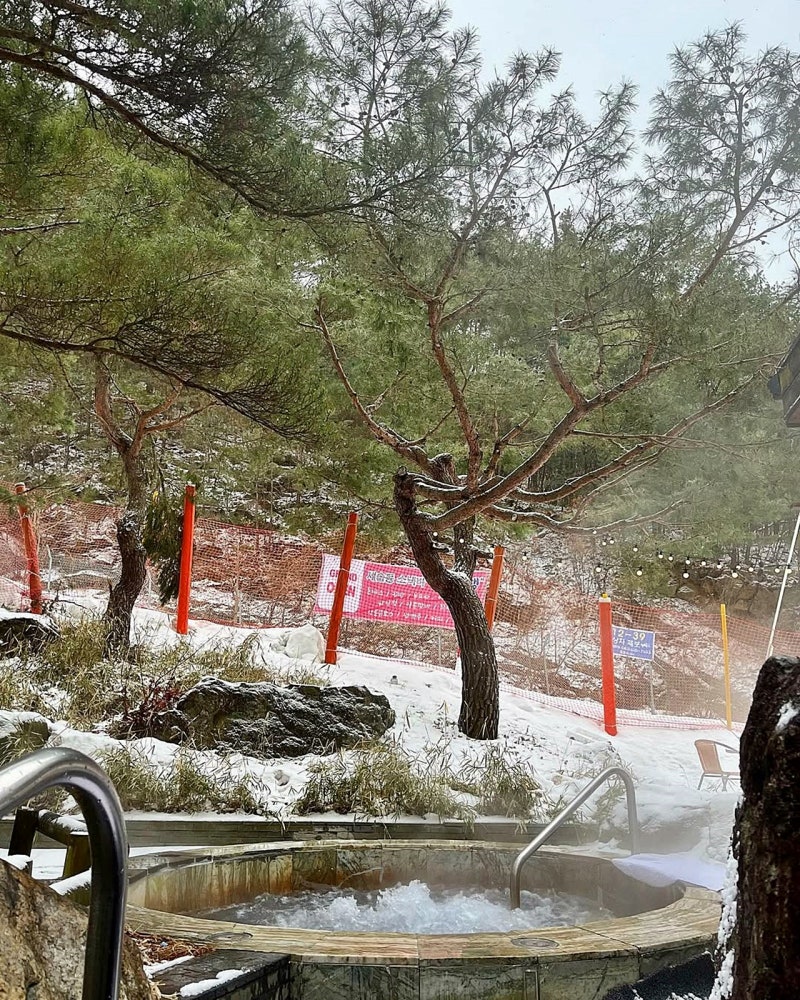 무주 온천 세솔동 노천탕 무주 리조트 숙소 들국화동 후기 네이버 블로그
